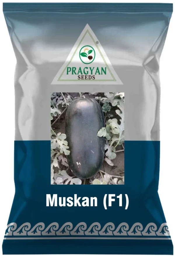 Muskan (F1) - Pragyan Seeds